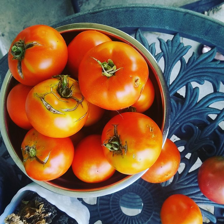 Canning season – Pardon the Garden
